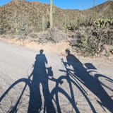 Bajada Loop Drive, Arizona - 229 Reviews, Map | AllTrails