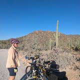 Bajada Loop Drive, Arizona - 229 Reviews, Map | AllTrails