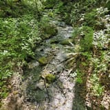 Dash Point Trail, Washington - 1,259 Reviews, Map | AllTrails