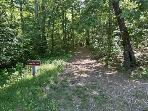 Best Easy Trails in Durant Nature Preserve | AllTrails