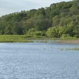 Lake Redman Trail 5 Loop, Pennsylvania - 202 Reviews, Map | AllTrails