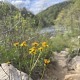 Bulls Bridge Loop, Connecticut - 677 Reviews, Map | AllTrails