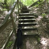 Chained Rock Trail, Kentucky - 529 Reviews, Map | AllTrails