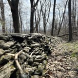 Shaker Mountain Loop via Shaker Trail, Massachusetts - 490 Reviews, Map ...