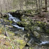 Shaker Mountain Loop via Shaker Trail, Massachusetts - 490 Reviews, Map ...