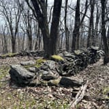 Shaker Mountain Loop via Shaker Trail, Massachusetts - 490 Reviews, Map ...