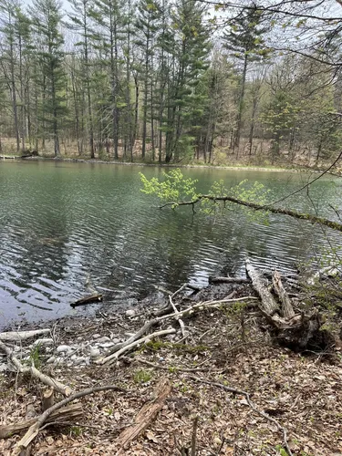 Best Lake Trails in Chenango Valley State Park | AllTrails