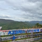 Bell Knob Overlook, Georgia - 103 Reviews, Map | AllTrails