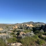 Buffalo Point Trail, Utah - 1,180 Reviews, Map | AllTrails
