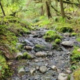 Boulder River Trail, Washington - 1,812 Reviews, Map | AllTrails
