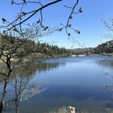 Lake Gregory Trail, California - 1,624 Reviews, Map | AllTrails