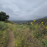 Colby Trail, California - 812 Reviews, Map | AllTrails