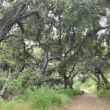 Colby Trail, California - 812 Reviews, Map | AllTrails