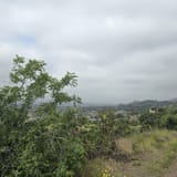 Colby Trail, California - 812 Reviews, Map | AllTrails