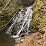 Dickerson Falls, Washington - 2,387 Reviews, Map | AllTrails
