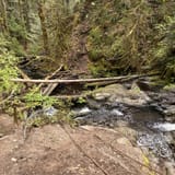 Dickerson Falls, Washington - 2,387 Reviews, Map | AllTrails