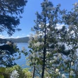 Tubbs Hill, Idaho - 4,146 Reviews, Map | AllTrails