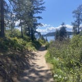 Tubbs Hill, Idaho - 4,122 Reviews, Map | AllTrails