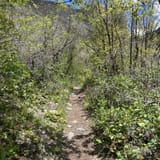Dry Canyon Trail, Utah - 615 Reviews, Map | AllTrails