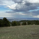 Colorow Mountain Forest and Meadow Loop Trail, Colorado - 595 Reviews ...