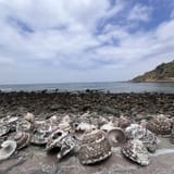 Bluff Cove to Lunada Bay Trail, California - 834 Reviews, Map | AllTrails