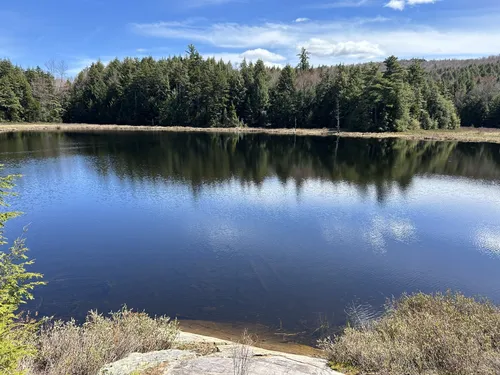 Best Camping Trails in Huletts Landing | AllTrails