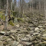Stowe Pinnacle via Pinnacle Meadow Trail, Vermont - 2,106 Reviews, Map ...
