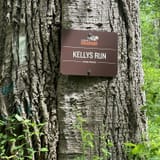 Kelly's Run Loop Trail, Pennsylvania - 3,431 Reviews, Map | AllTrails