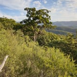Pages Pinnacle , Queensland, Australia - 1,394 Reviews, Map | AllTrails