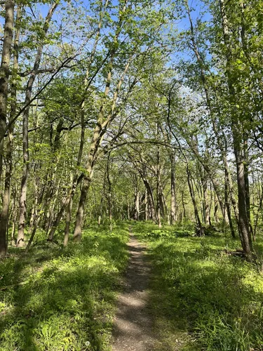 Best Horseback Riding Trails in Wheaton | AllTrails