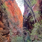 Spring Creek Canyon, Utah - 1,281 Reviews, Map | AllTrails