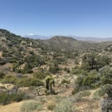 Panorama Loop, California - 3,011 Reviews, Map | AllTrails