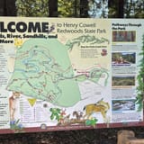 Henry Cowell Observation Deck Loop, California - 1,803 Reviews, Map ...