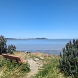 San Rafael Bay Shoreline Path, California - 311 Reviews, Map | AllTrails