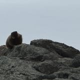 Storm Point Loop, Montana - 933 Reviews, Map | AllTrails