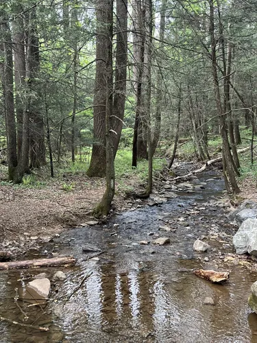 Best Wildlife Trails in Ono | AllTrails