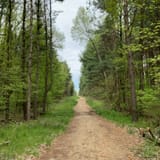 Moab Trail, Michigan - 301 Reviews, Map | AllTrails