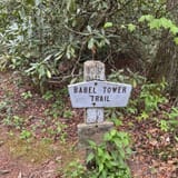 Babel Tower Trail (240), North Carolina - 1,035 Reviews, Map | AllTrails