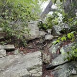 Babel Tower Trail (240), North Carolina - 1,035 Reviews, Map | AllTrails