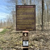 Mount Arab Trail, New York - 2,250 Reviews, Map | AllTrails