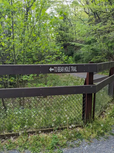 Best Wildlife Trails in Ono | AllTrails