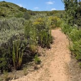 Barbara's Lake Loop Trail, California - 929 Reviews, Map | AllTrails