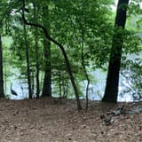 Noland Trail, Virginia - 863 Reviews, Map | AllTrails