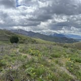 Big Beacon Mount Wire Trail, Utah - 1,900 Reviews, Map | AllTrails