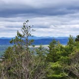 Blue Job Mountain Loop, New Hampshire - 2,007 Reviews, Map | AllTrails