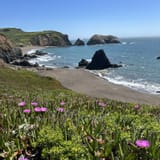 Muir Beach to Point Bonita Lighthouse, California - 162 Reviews, Map ...