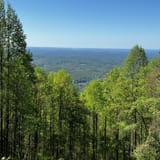 Duncan Ridge Trail, Georgia - 71 Reviews, Map | AllTrails