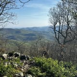 Duncan Ridge Trail, Georgia - 71 Reviews, Map | AllTrails