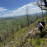 Duncan Ridge Trail, Georgia - 71 Reviews, Map | AllTrails