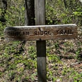 Duncan Ridge Trail, Georgia - 71 Reviews, Map | AllTrails
